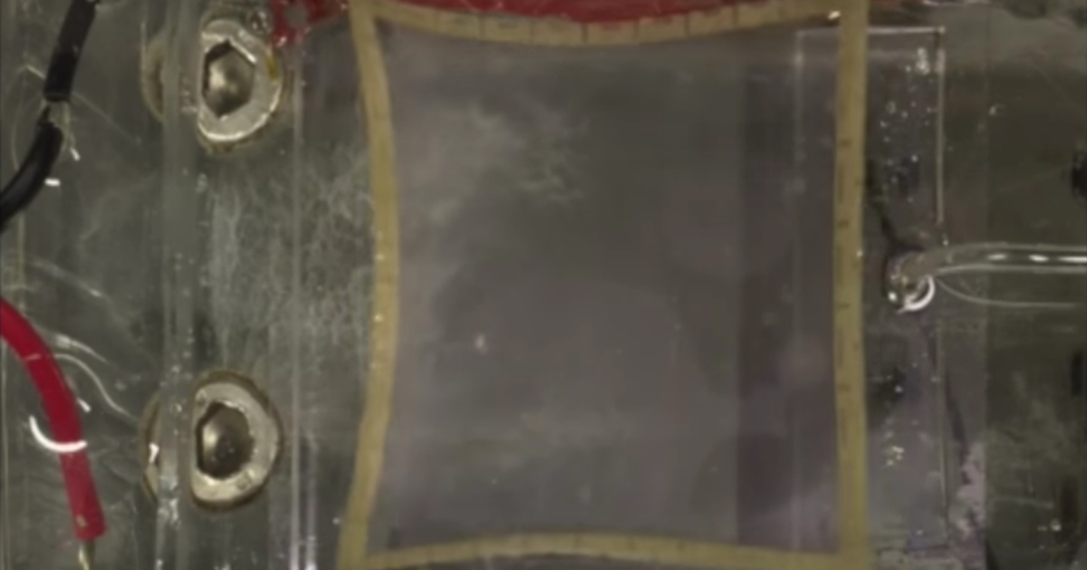 This Artificial Heart 'Patch' Can Repair You After A Heart Attack ...