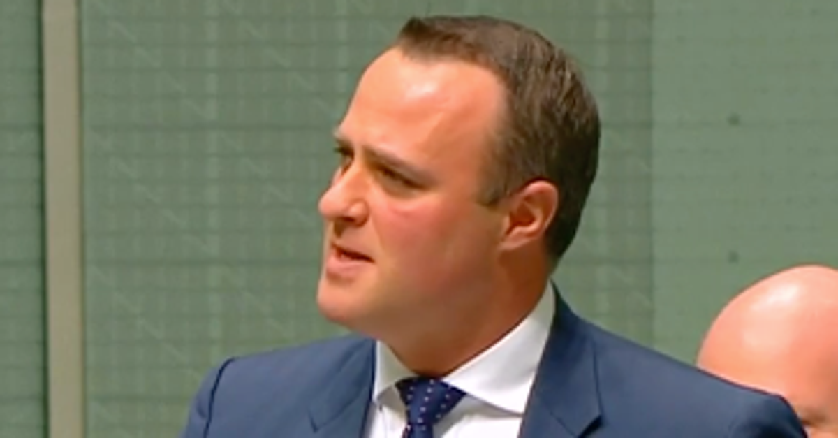 Australian MP Tim Wilson Proposes To Ryan Bolger In Parliament Amid ...