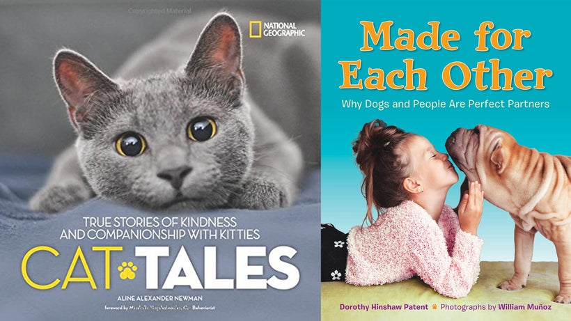 Cats vs. Dogs-- An Age-Old Debate | HuffPost