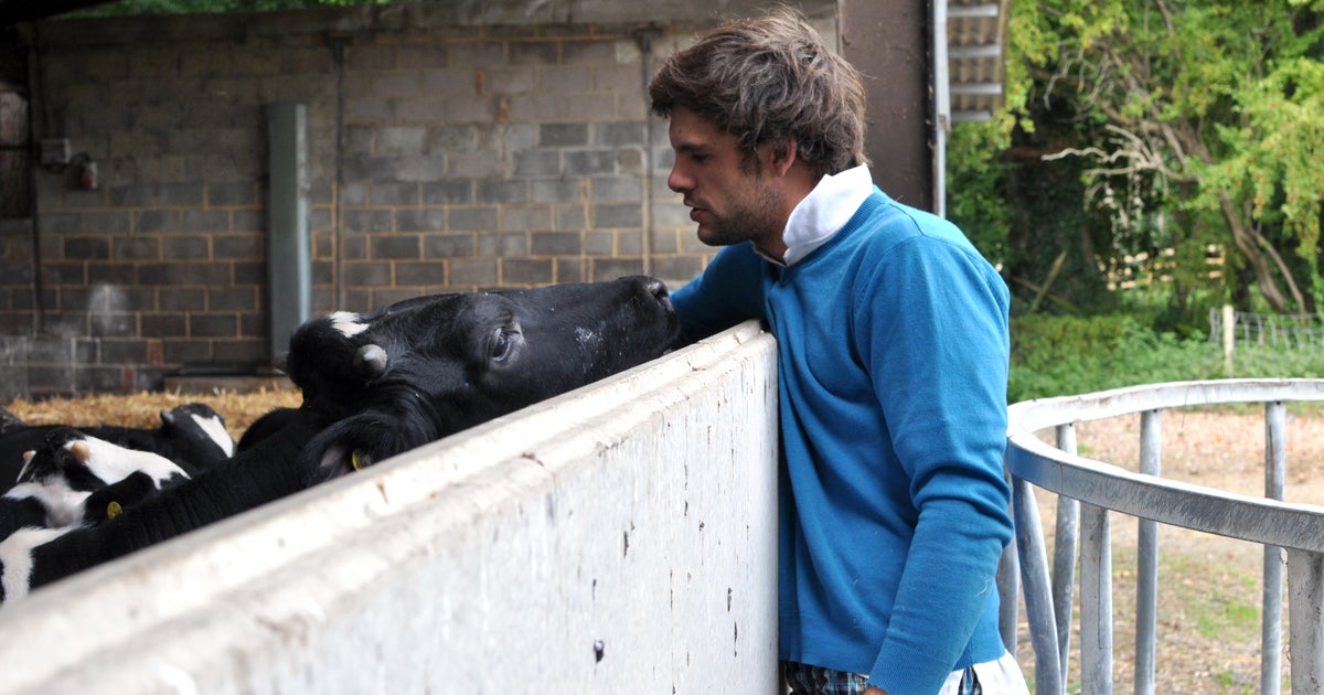 Why Care About Farm Animal Welfare? | HuffPost UK News