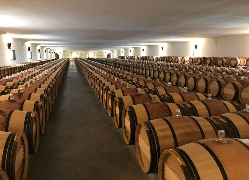 Lessons From The Vineyards | HuffPost