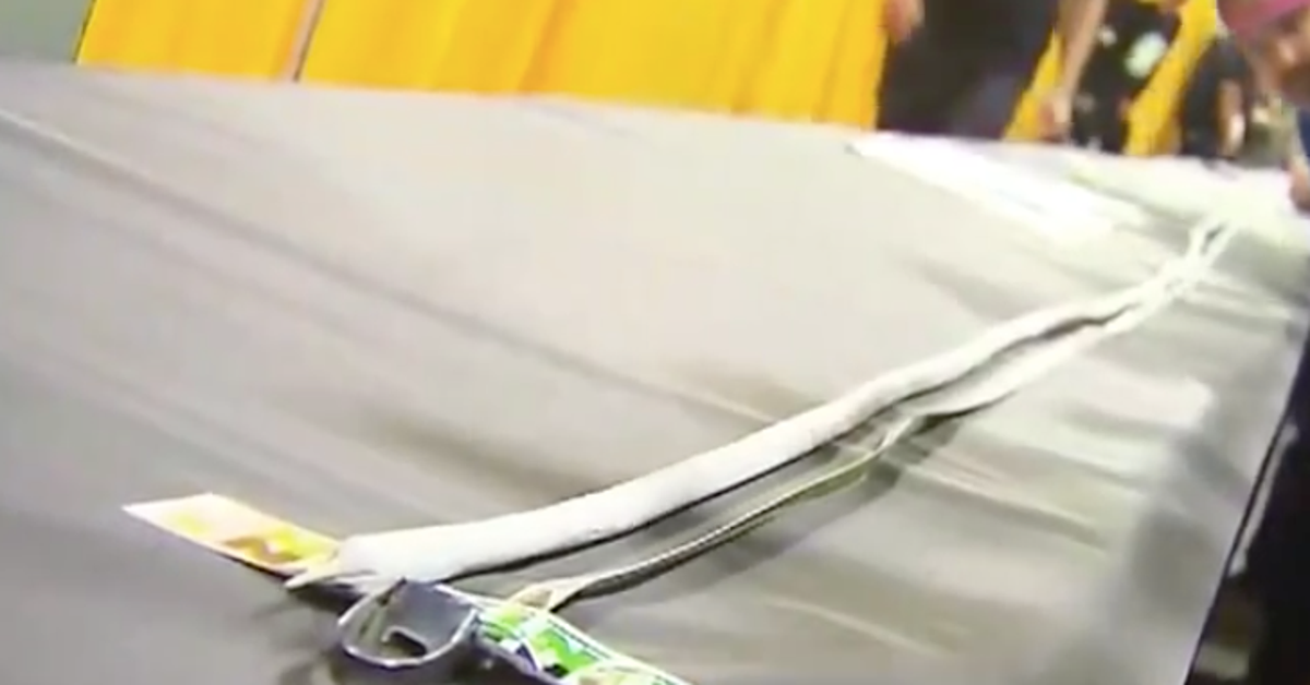 100-Foot-Long Joint Is A Big Hit At Massachusetts Pot Fest | HuffPost ...