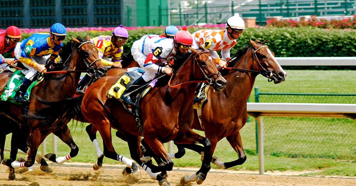 New Agreement Opens the Gate for Export of American Horses to China ...