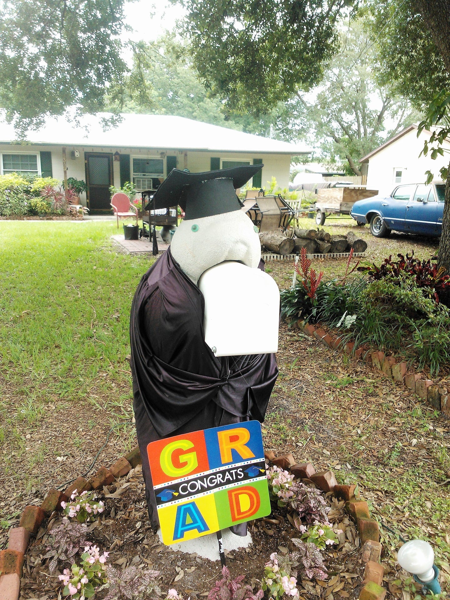 This Manatee Mailbox Has A Flawless Outfit For Every Occasion ...