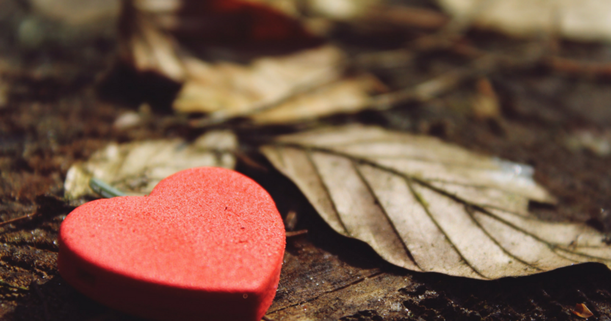 Gratitude, Intention, and Hope | HuffPost Contributor