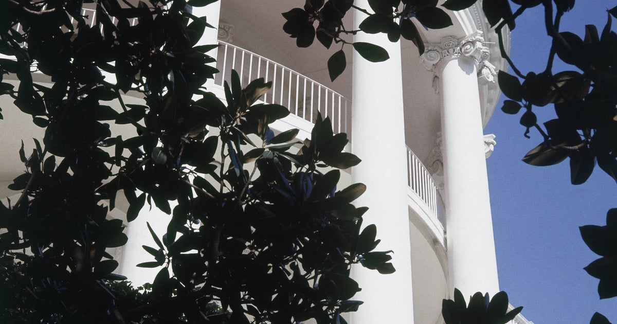 Melania Trump Orders Large Portion Of Historic White House Tree Removed ...