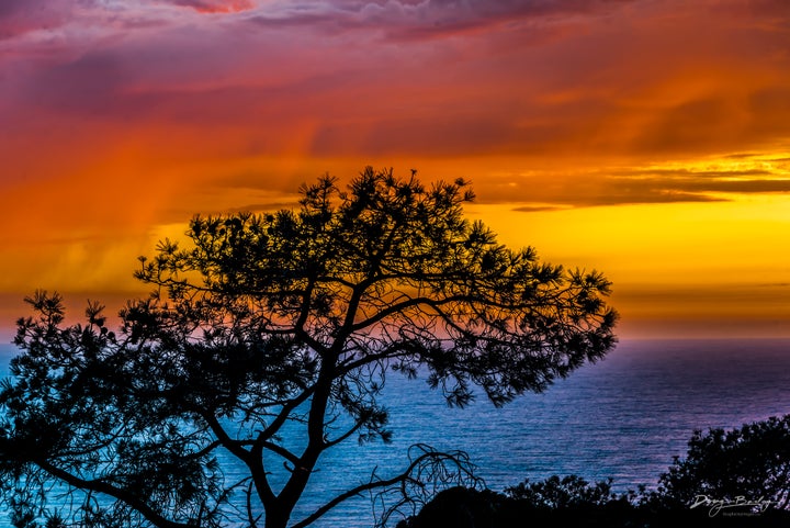 Photography with Purpose, on Purpose - A Photographic Contribution by ...