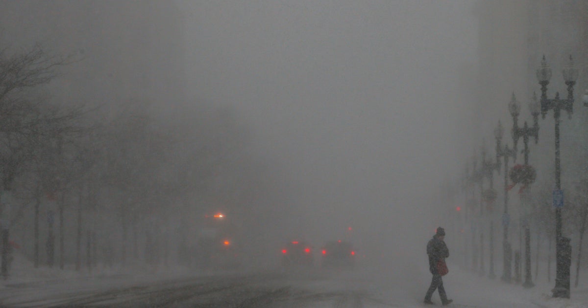 Brutal Winter Storm Leaves East Coast Blanketed In Snow As Airports ...