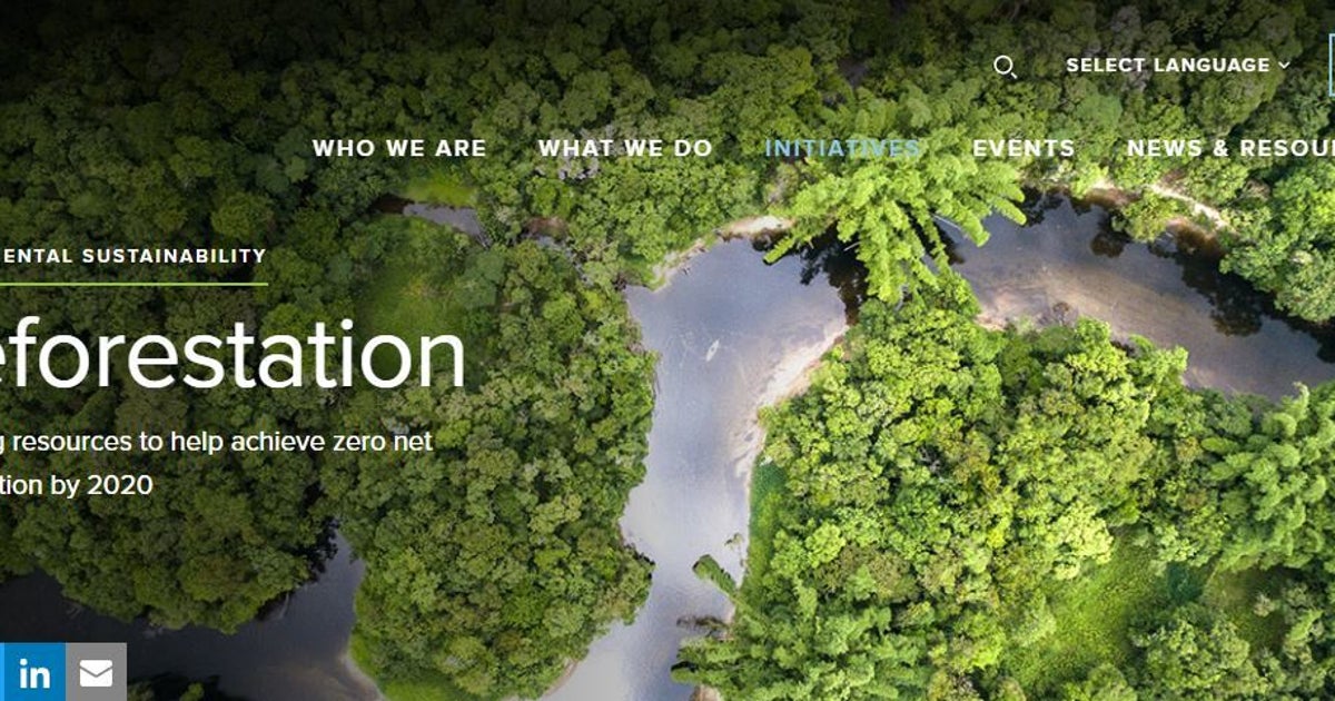 Looking Towards 2020 For Forest Friendly Products | HuffPost Contributor