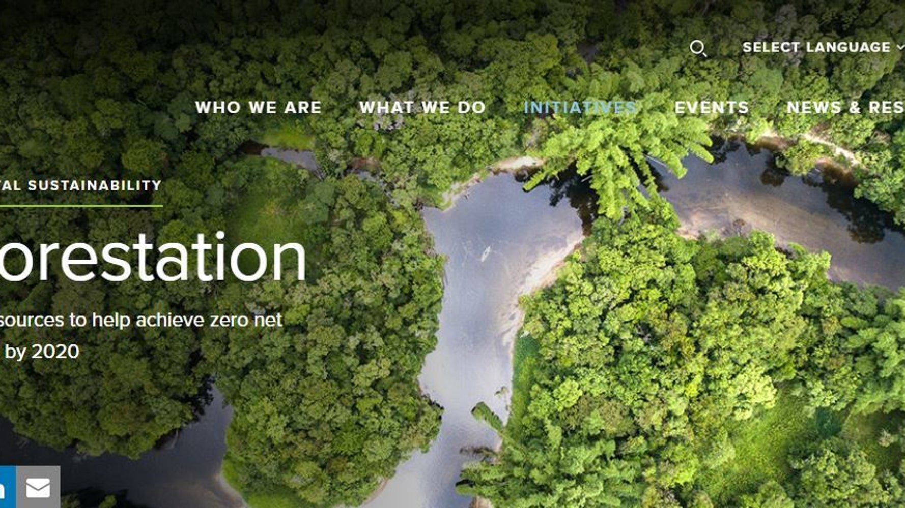 Looking Towards 2020 For Forest Friendly Products | HuffPost Contributor