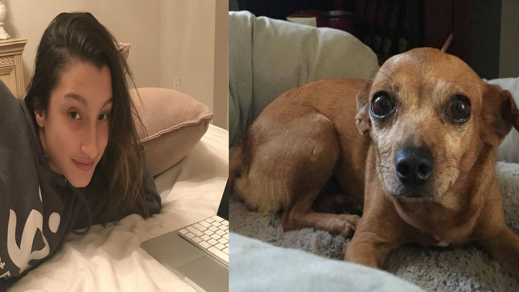 Teen Wakes Up at 6am Every Day to Rescue Dogs | HuffPost Contributor