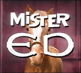 Mr. Trump and Mr. Ed: A very stable genius and a genius in the stable ...