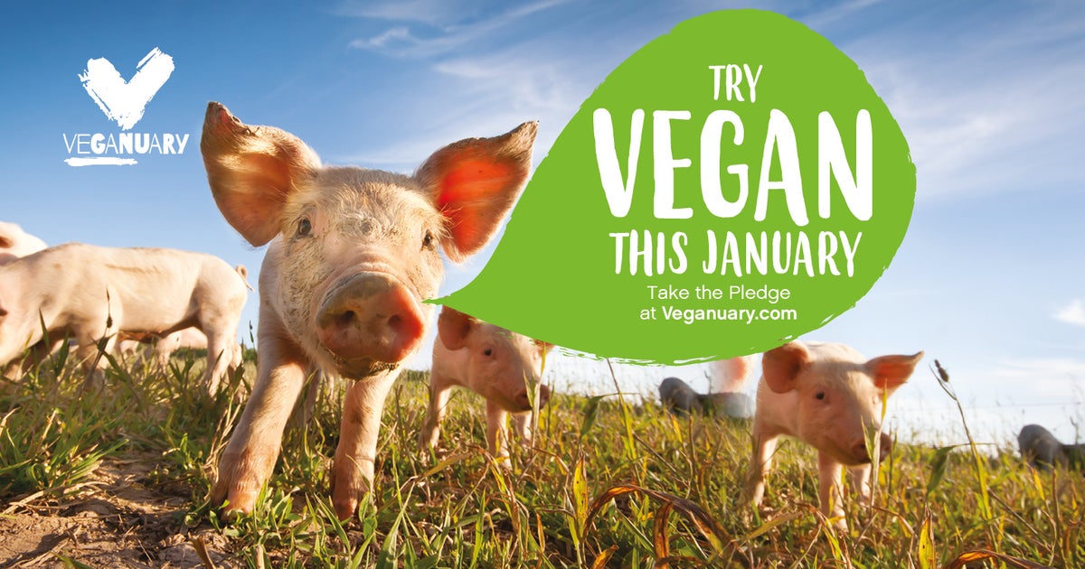 Top Tips For A Great Veganuary Huffpost Uk Life
