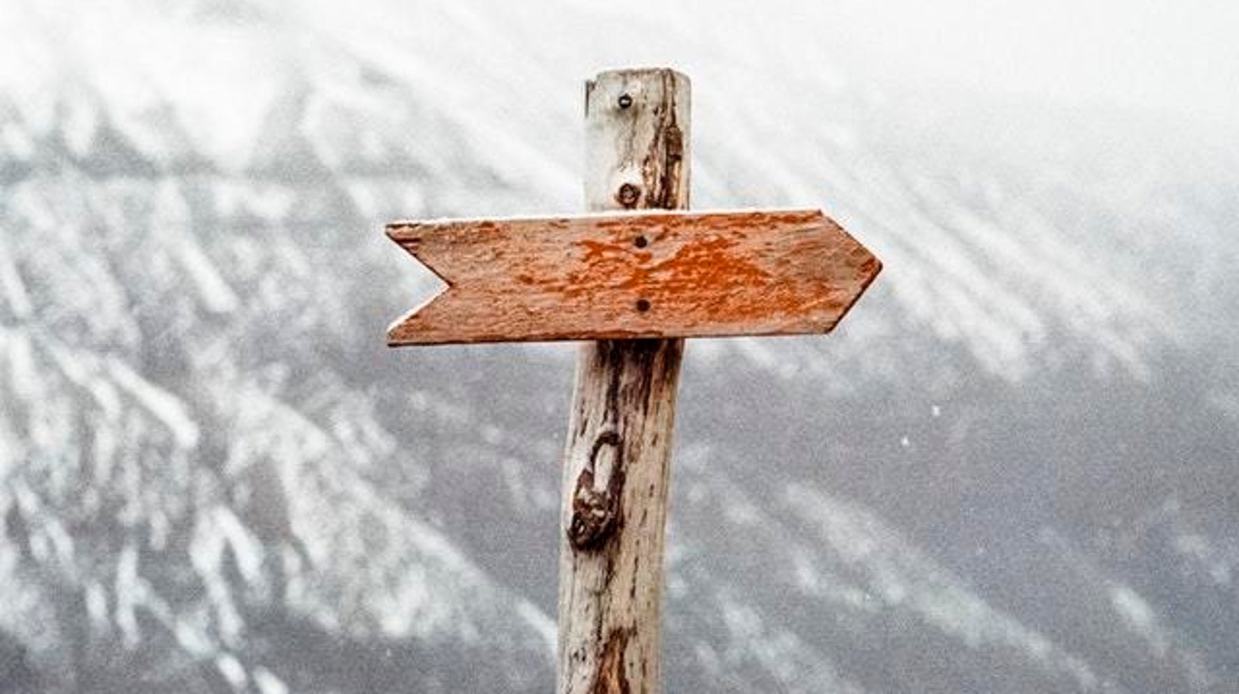 7 Steps to forging your own path | HuffPost Contributor 7 Steps to forging your own path | HuffPost Contributor