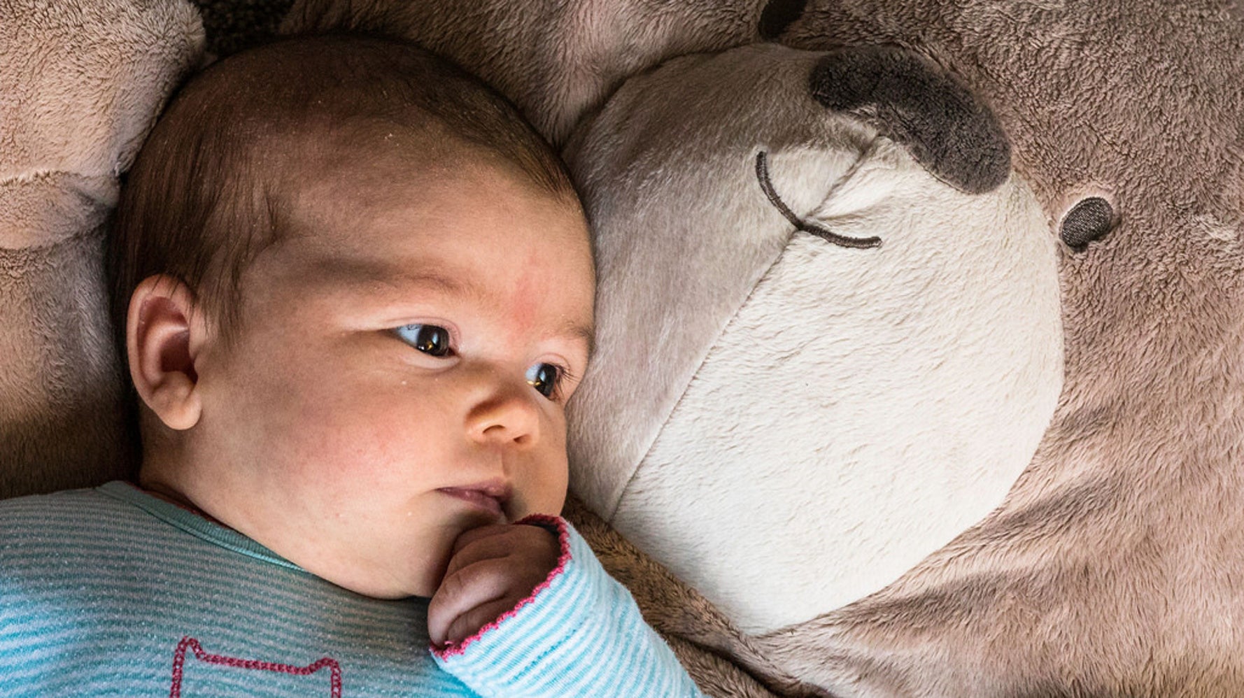 Fussy Baby? Here Are 20 Things You Need To Try | HuffPost
