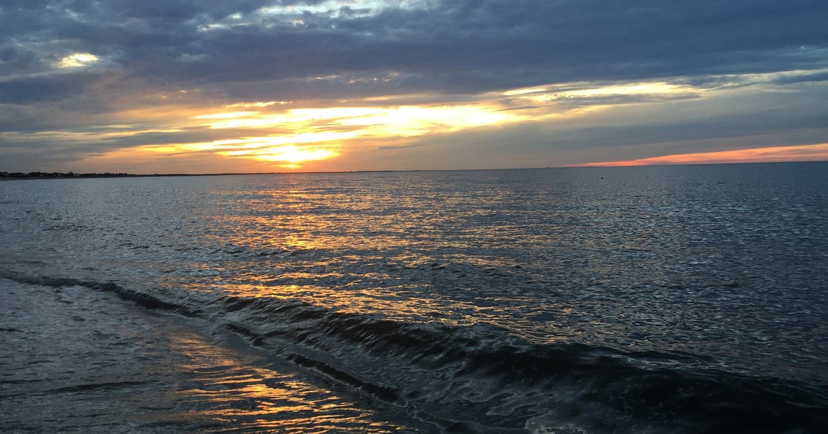 Logging on to the Anthropocene | HuffPost Contributor