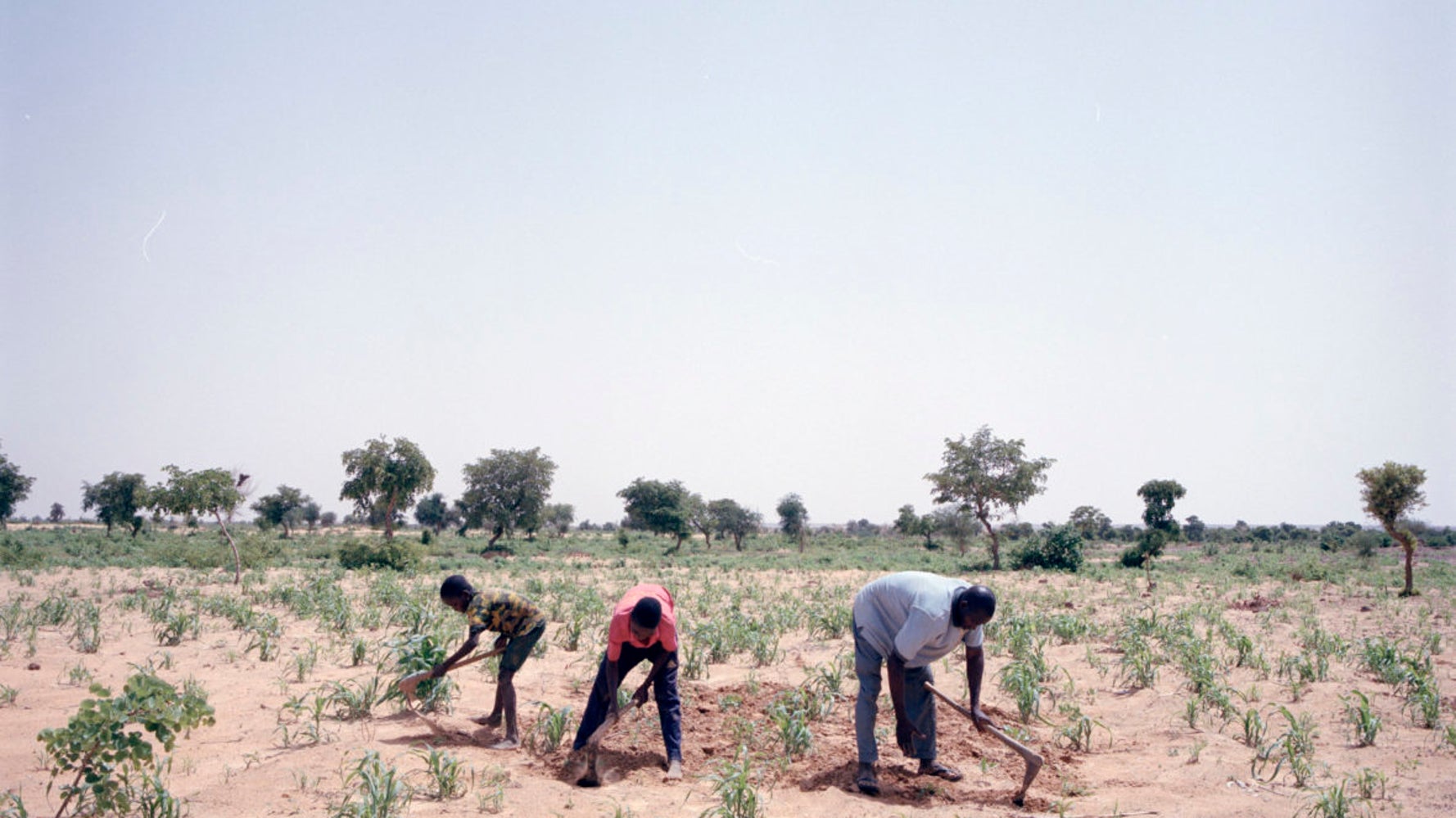 Niger: The 5 things you need to know | HuffPost Contributor