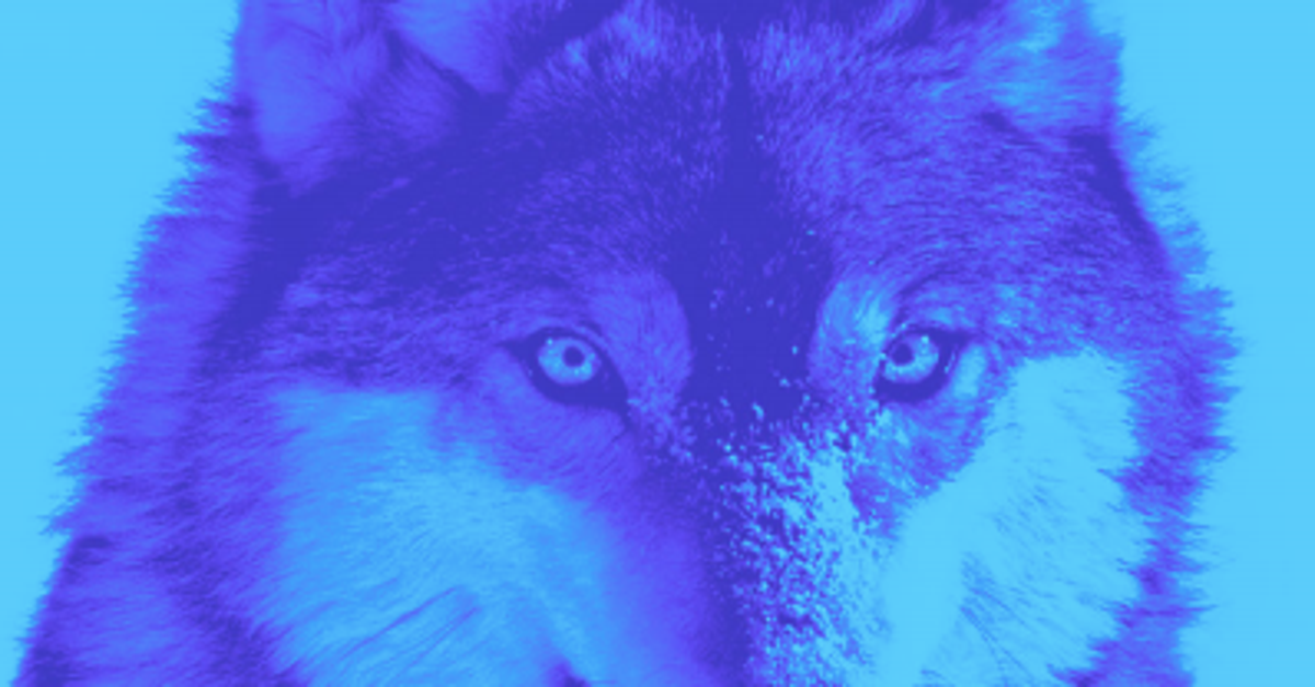 The “Hunter” Mentality Matters, Here’s How to Get It | HuffPost Contributor