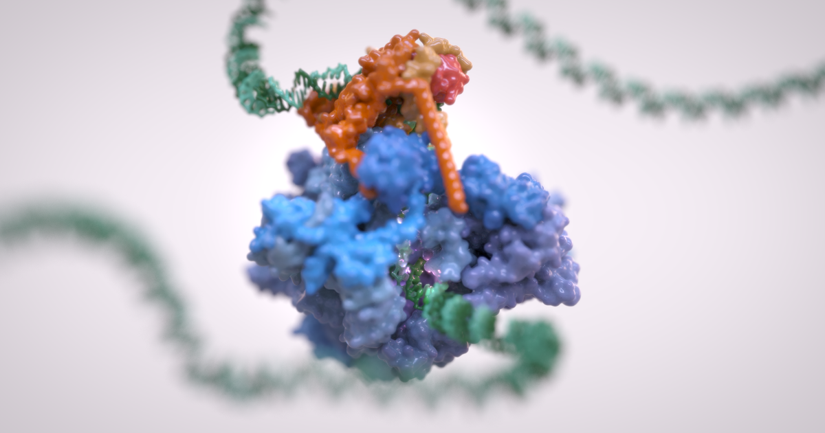 Scientists Watch DNA Being Read In World First | HuffPost UK Tech