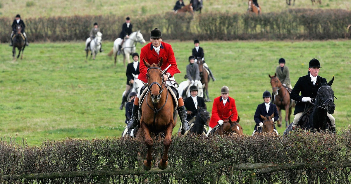 Unlucky For Hunts As Hunting Ban Turns 13 | HuffPost UK News