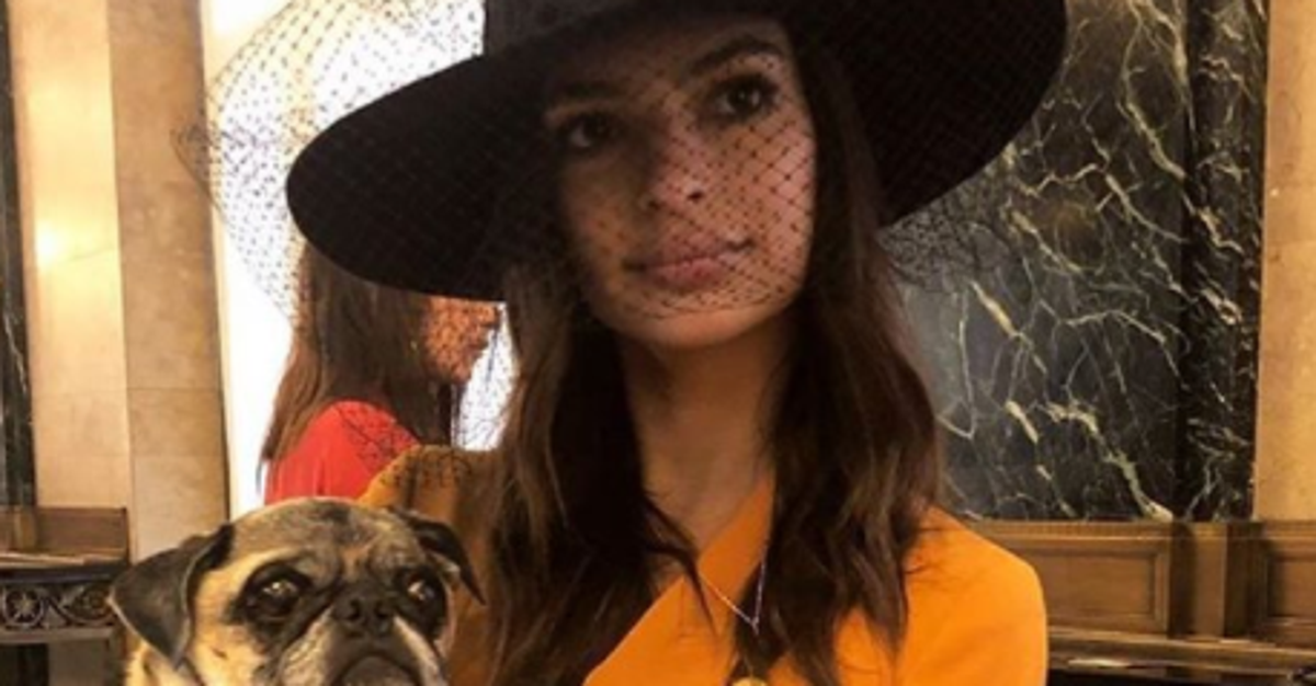 Looks We Love: Emily Ratajkowski's Mustard Yellow Wedding Suit From ...