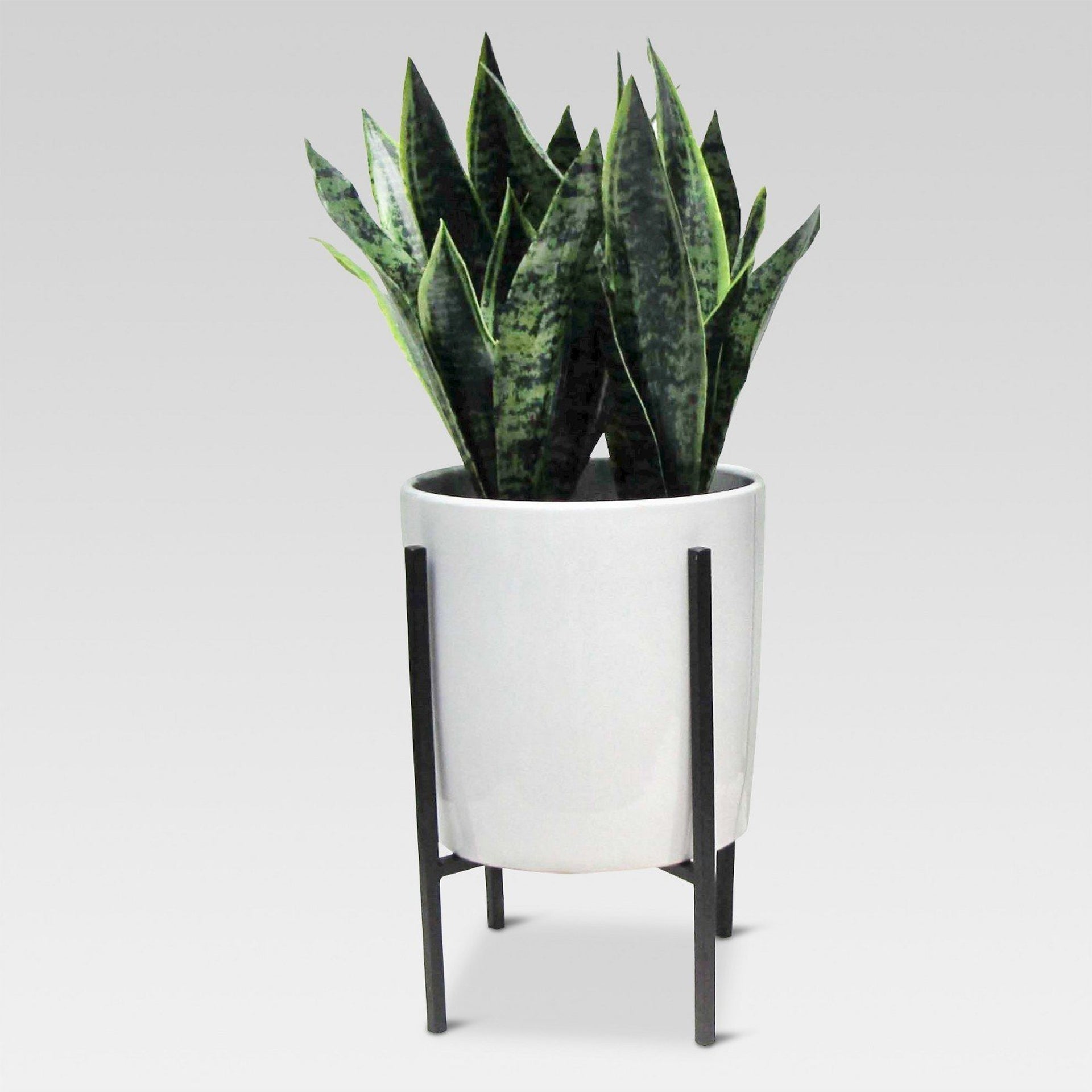 18 Perfectly Fake Houseplants That Look Real | HuffPost Life