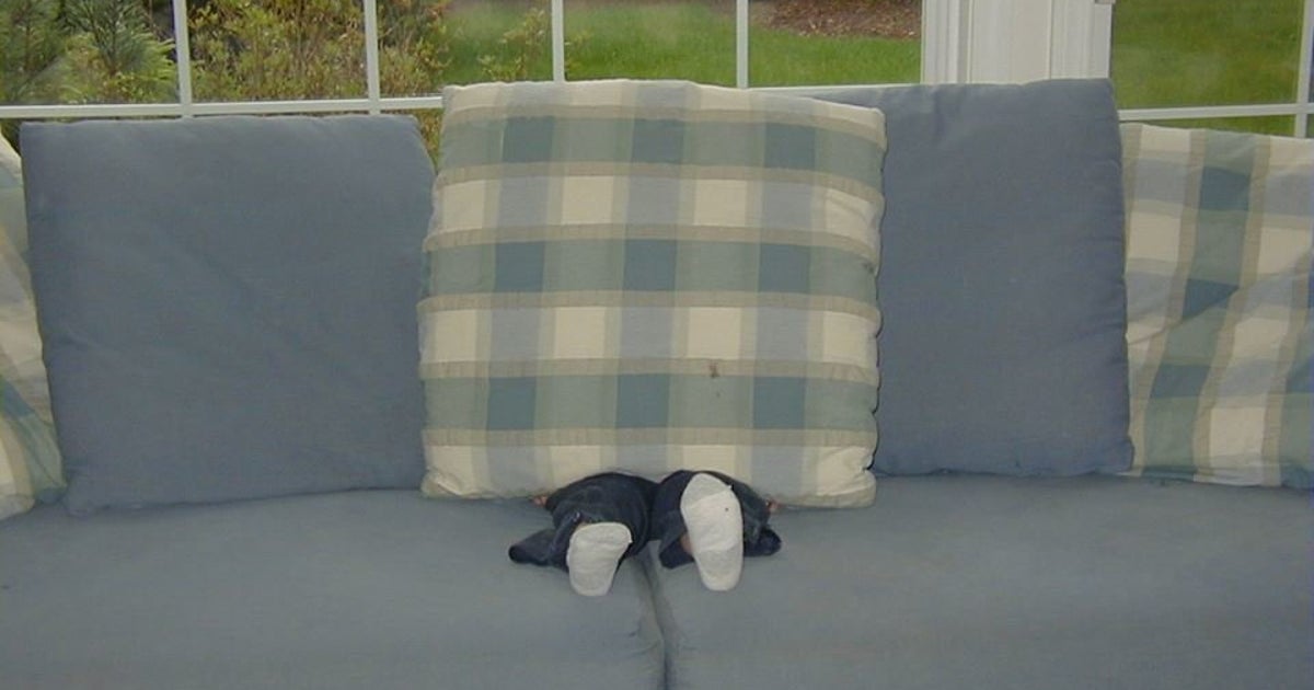 37 Photos That Show How Hilariously Bad Little Kids Are At Hiding ...