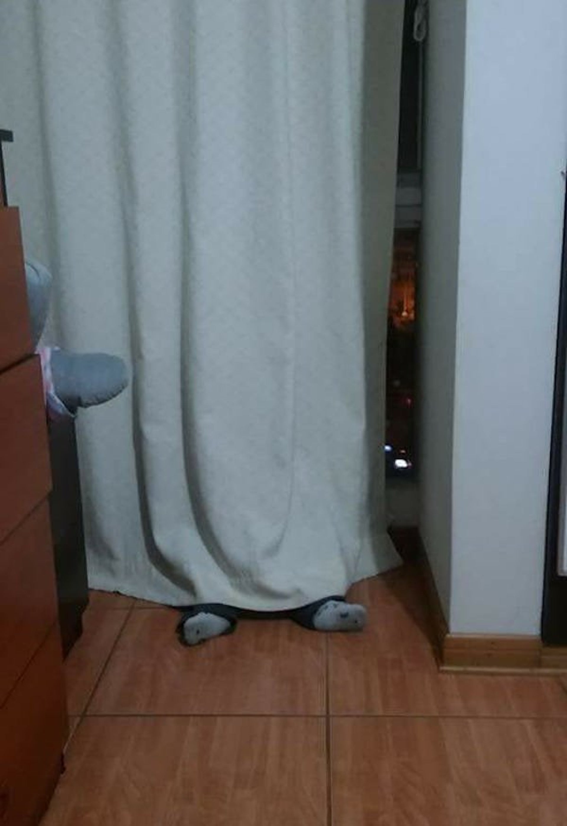 37 Photos That Show How Hilariously Bad Little Kids Are At Hiding ...