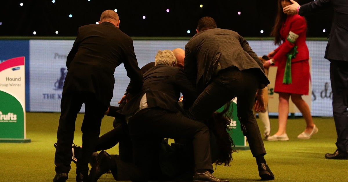 Crufts Protester Wrestled To The Ground After Invading The Stage As ...