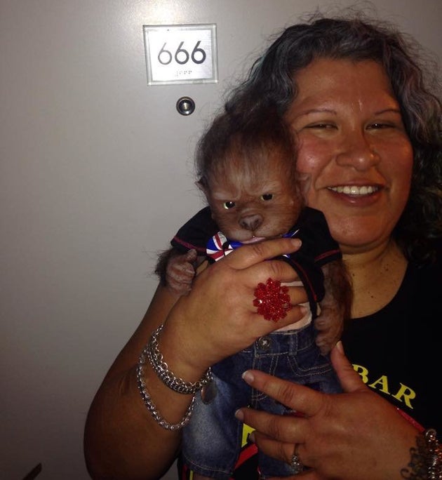 The Sweet Story Behind The Baby 'WerePups' Of Your Subway Nightmares ...