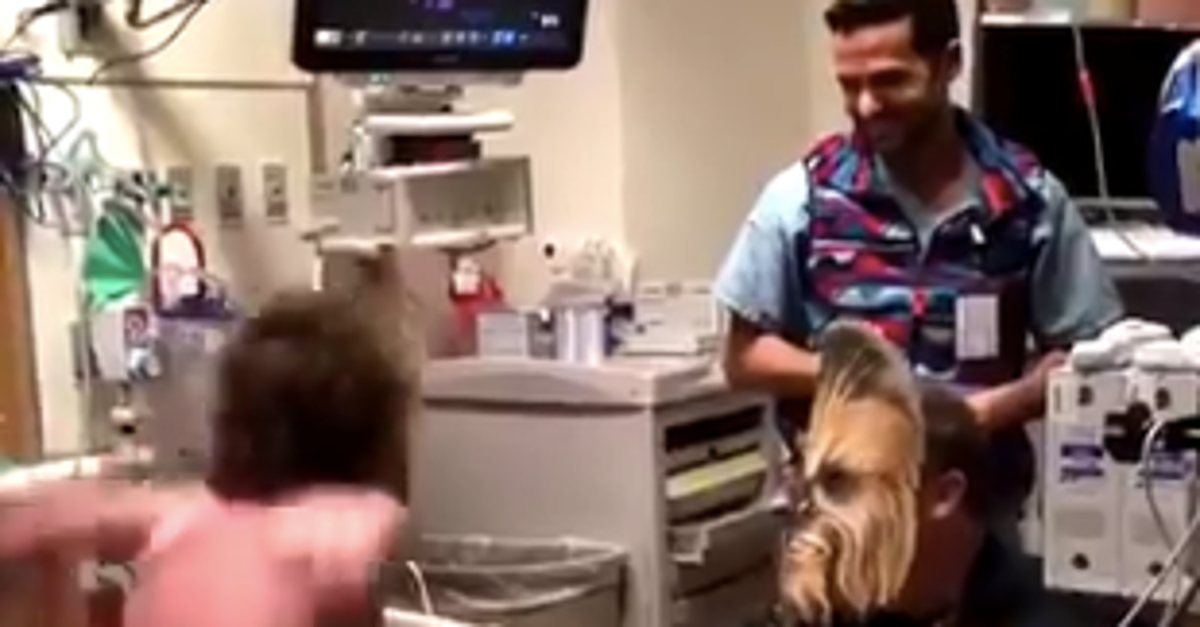 Doctor Dresses Up As Chewbacca To Tell Young 'Star Wars' Fan They Found ...