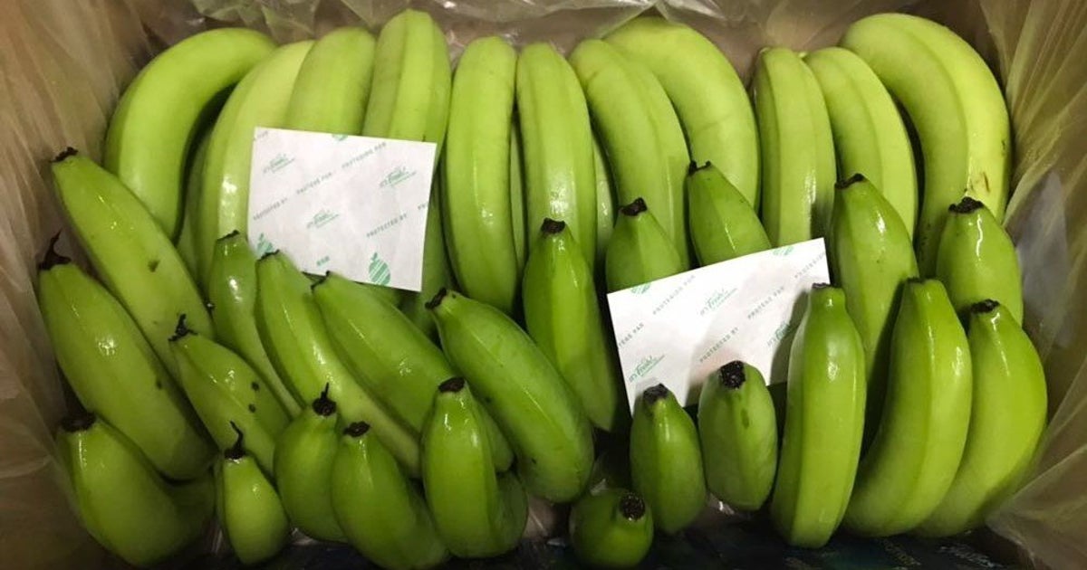 This Invention Could Save Over 250 Million Bananas From Food Waste Each ...