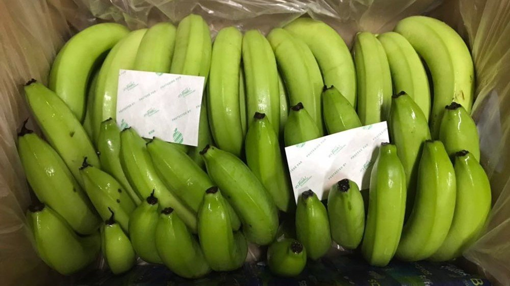This Invention Could Save Over 250 Million Bananas From Food Waste Each ...