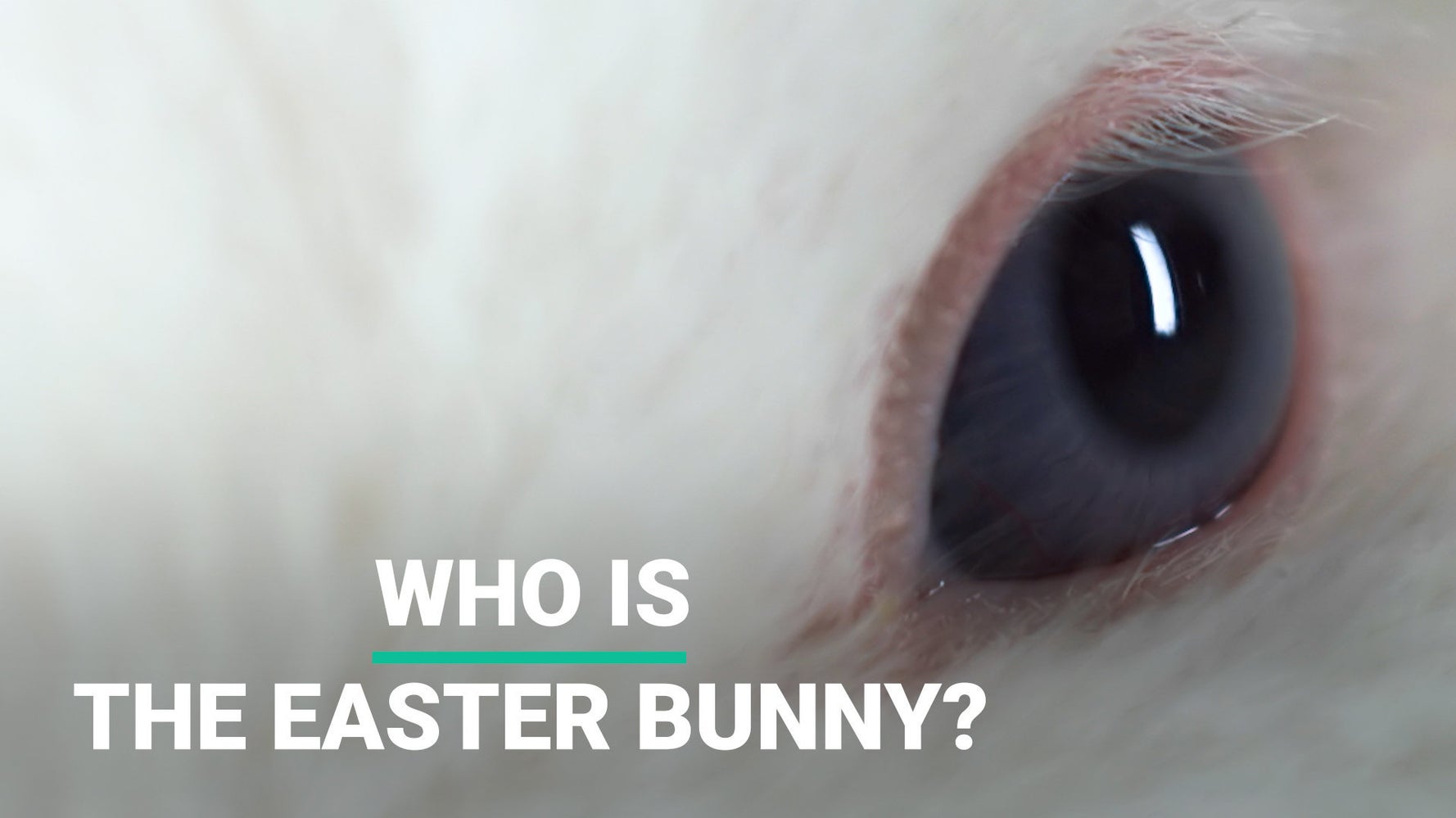 Who Is The Easter Bunny? | HuffPost UK Life