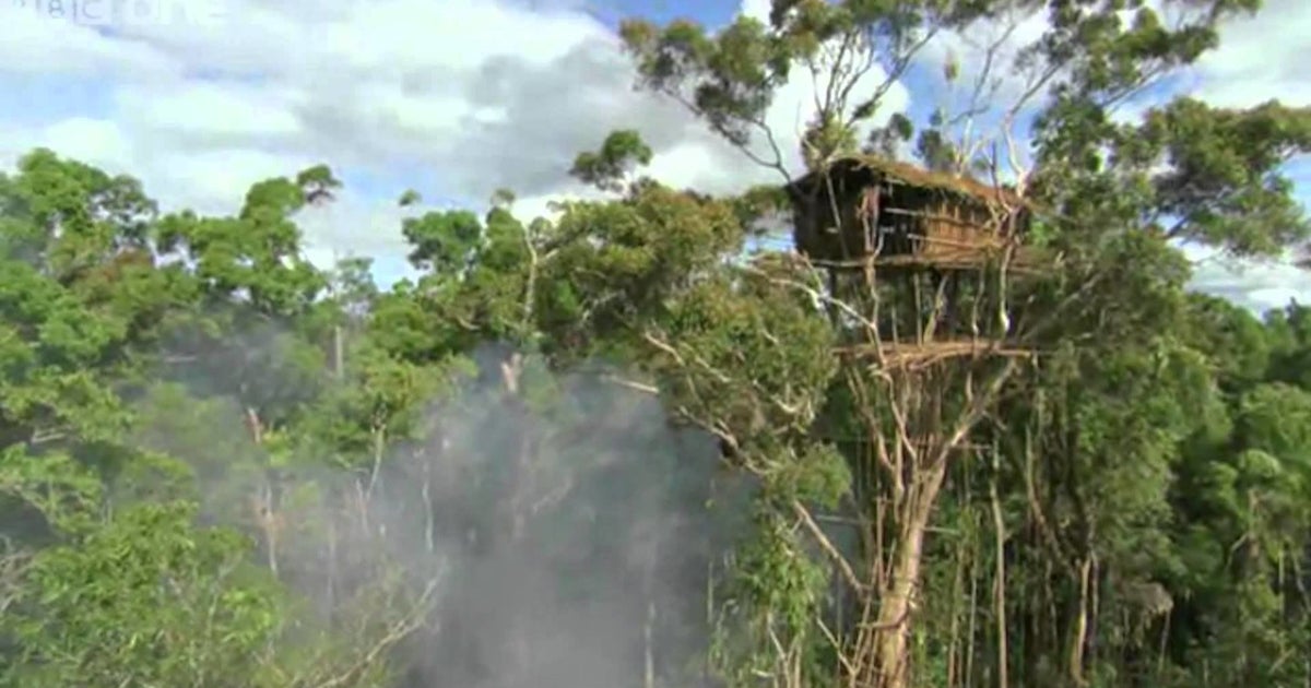 ‘Human Planet’ Episode Featuring Tribe’s Treehouse Homes Was Faked, BBC ...