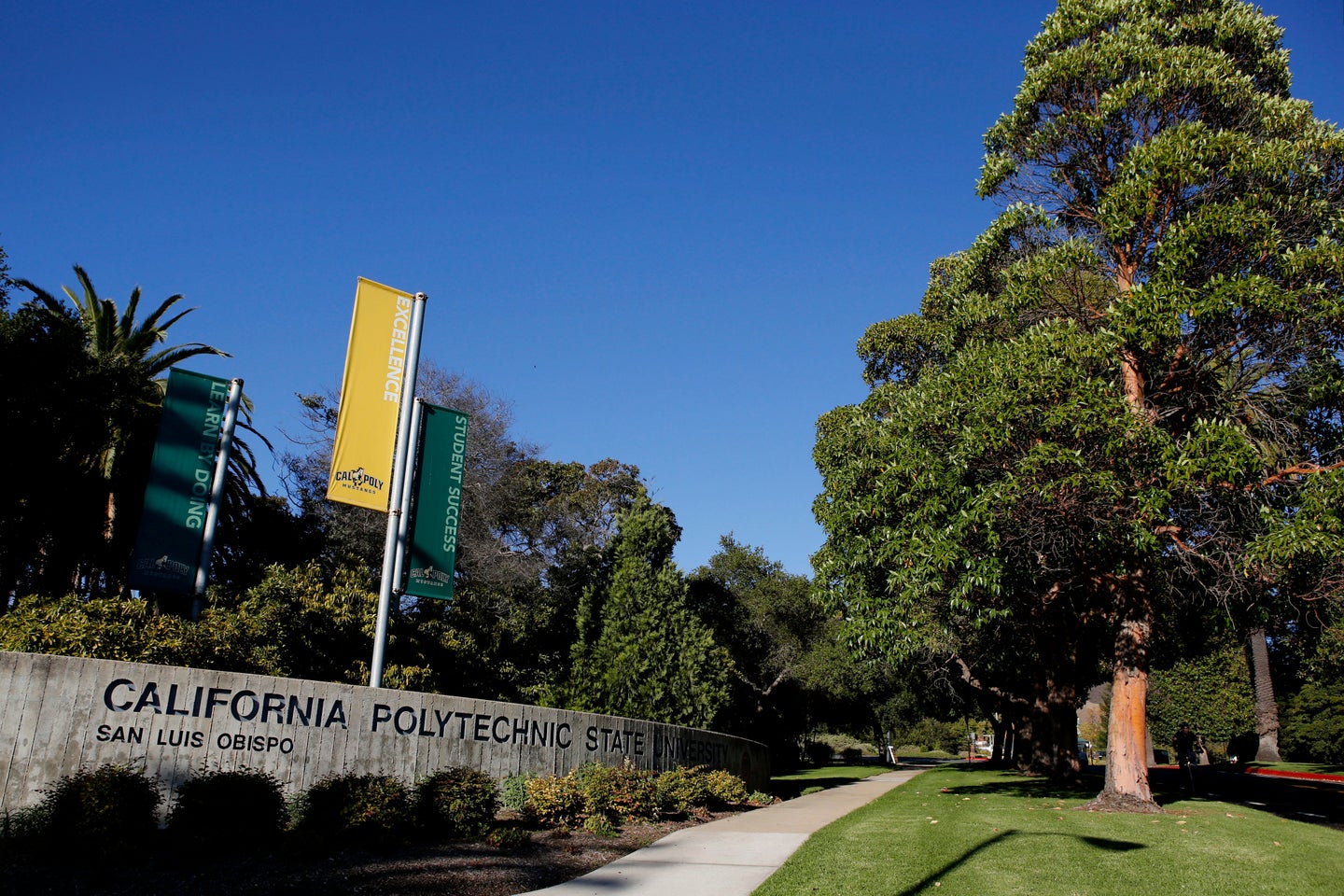 Cal Poly President Says Frat Member In Blackface Likely Won't Be ...