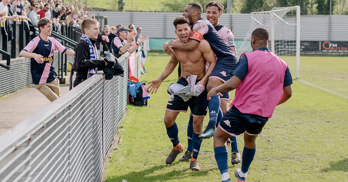Dulwich Hamlet Football Team Fights Back Against The Developer That ...