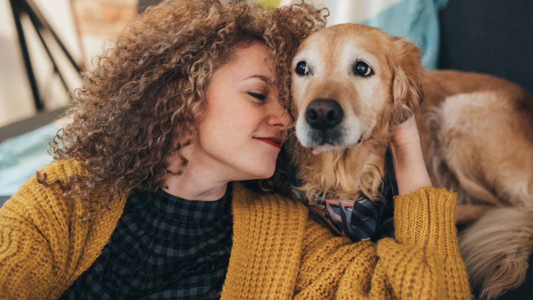 'Dogs Protect Humans From Other Humans. Humans Protect Dogs From Other ...