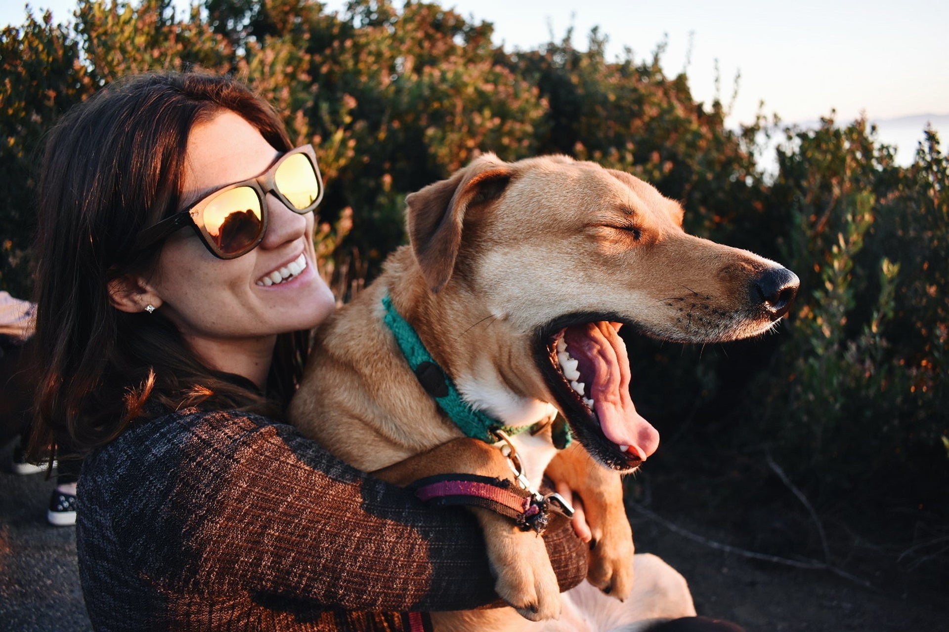 24 Photos That Capture The Magic Of Dogs Finding Their Forever Homes ...
