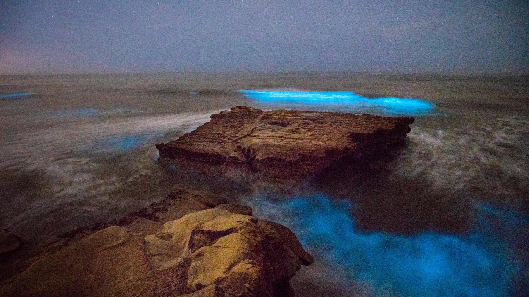 Red Tide Produces Gorgeous, Glowing Waves Off The California Coast ...