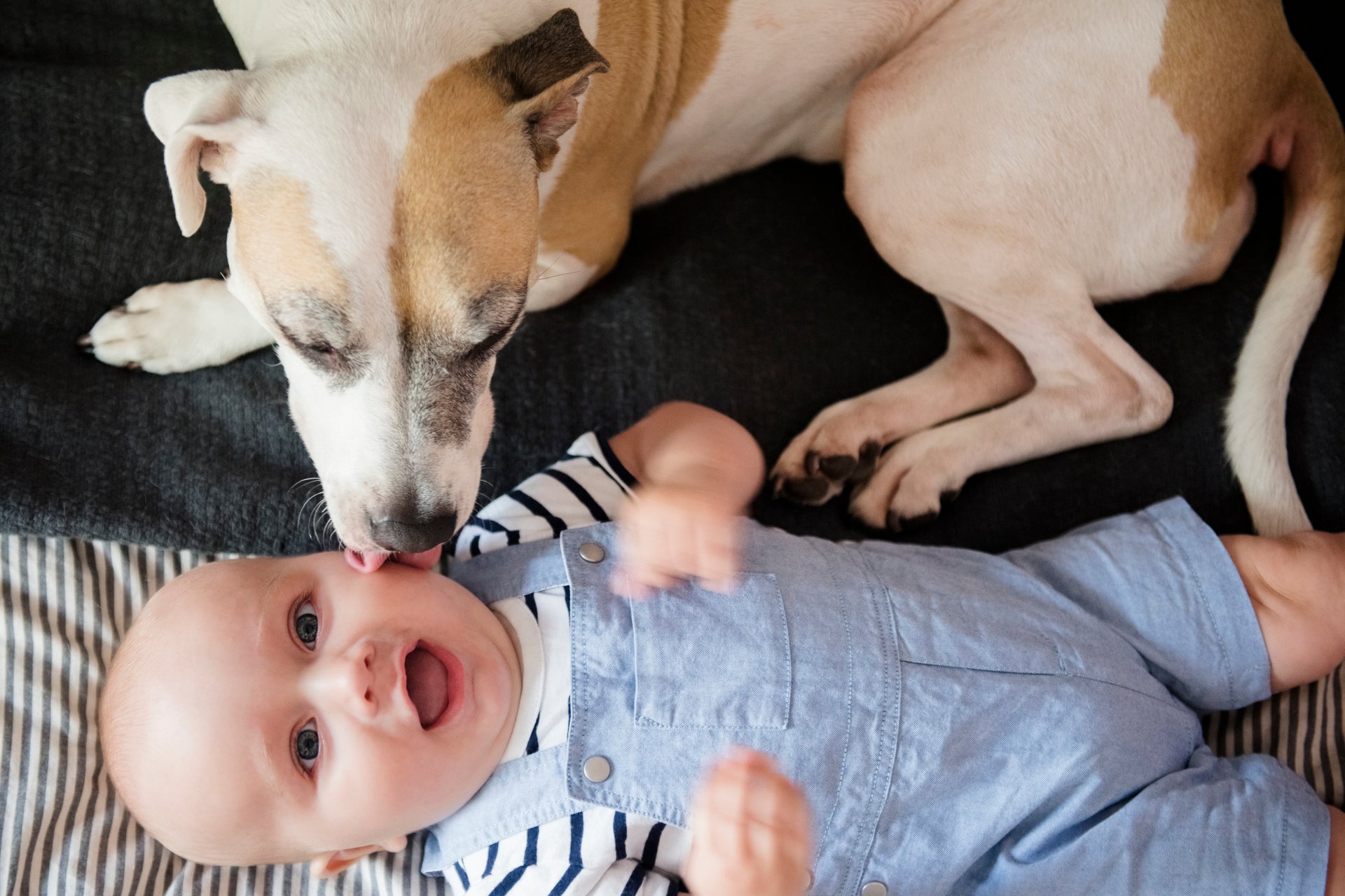 35 Adorable Photos Of Dogs And Babies Just Because | HuffPost Life