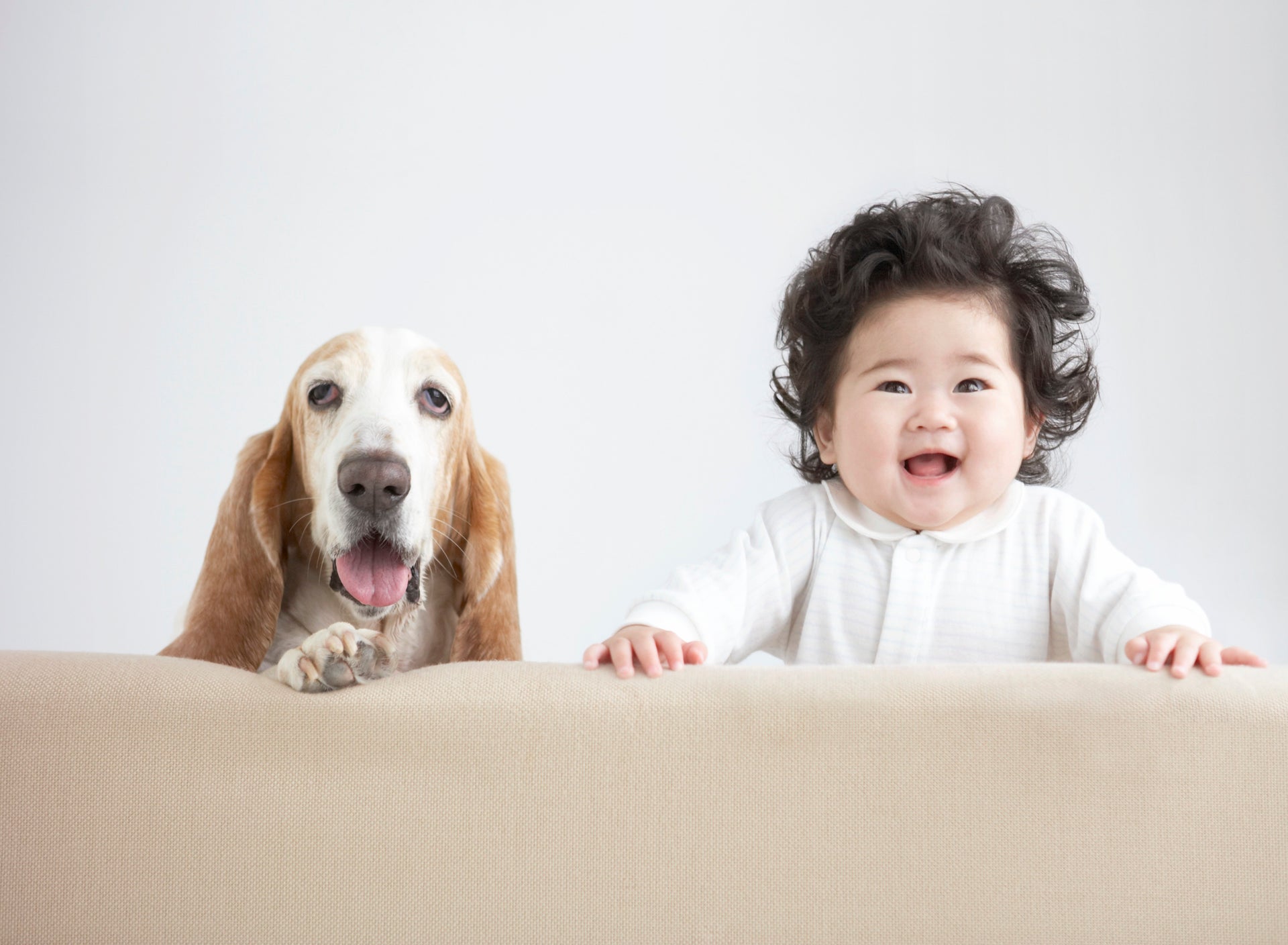35 Adorable Photos Of Dogs And Babies Just Because | HuffPost Life
