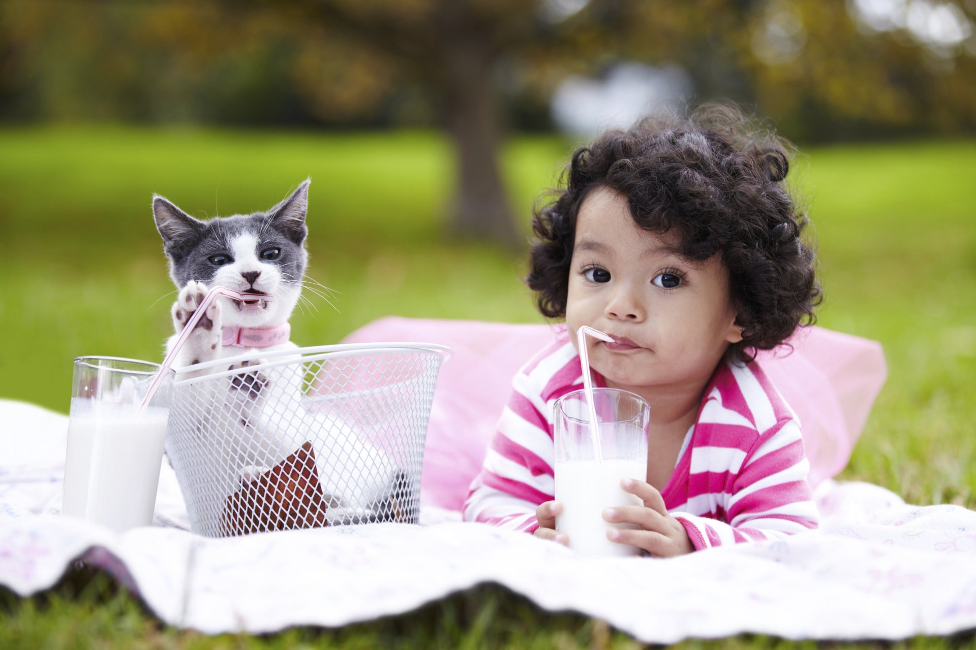 35 Precious Photos Of Cats And Babies Just Because | HuffPost Life
