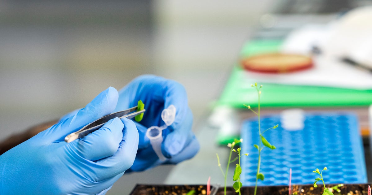 The Power Of Science | HuffPost UK Tech