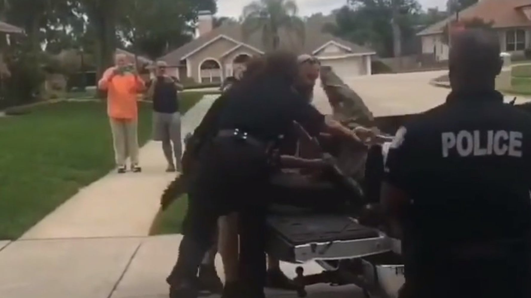 Alligator Knocks Florida Wildlife Trapper Unconscious in Video | HuffPost