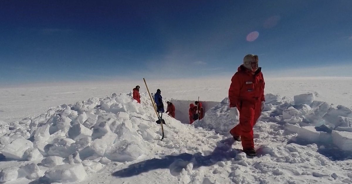 Antarctica Now Melting Three Times Faster | HuffPost UK News