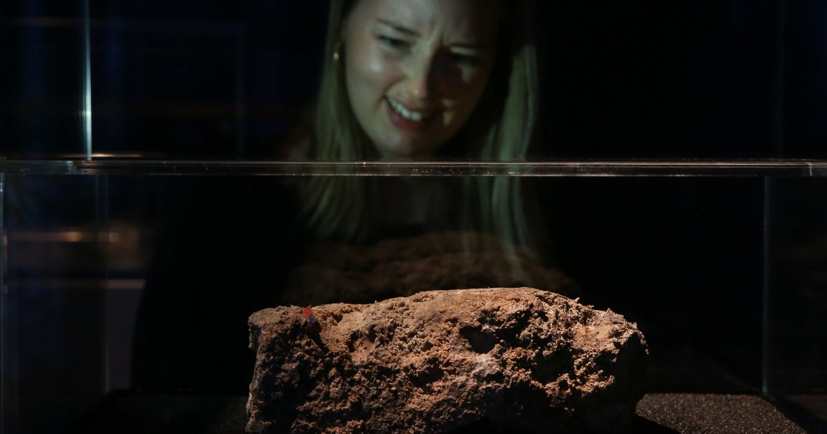 The Museum Of London Wants To Preserve This Slice Of Fatberg For Future ...