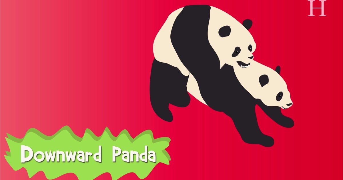 The Panda Sutra | HuffPost Videos