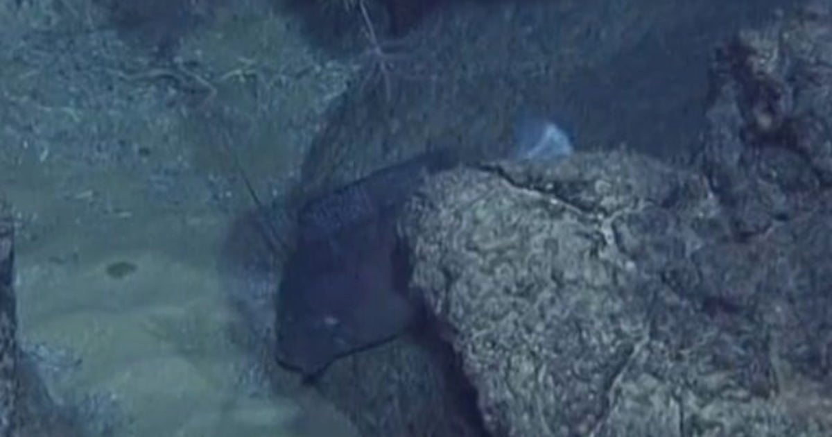 'Atlantis': Possible Evidence Of Continent Deep Beneath Atlantic Ocean ...