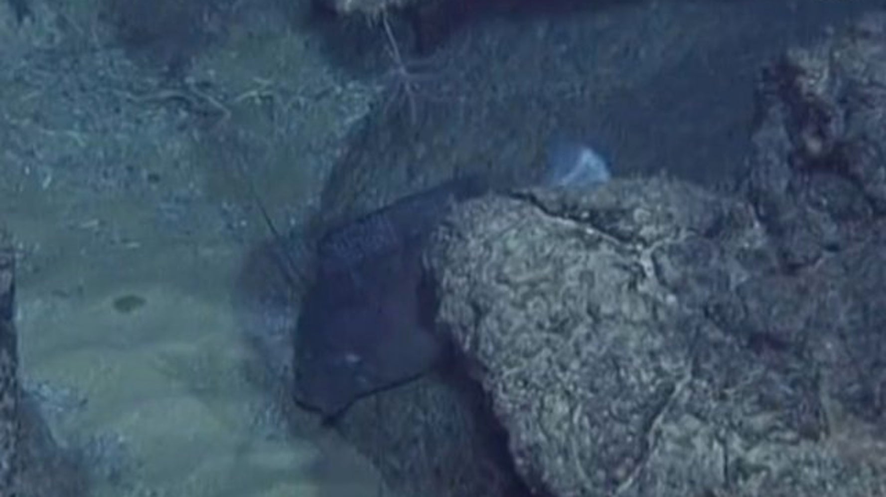 'Atlantis': Possible Evidence Of Continent Deep Beneath Atlantic Ocean ...